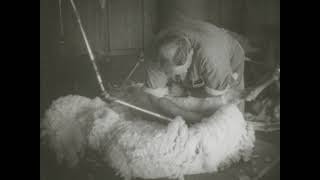 The Shearing table | Frank Land | 1956 | ACMI collection | ACMI: Your ...