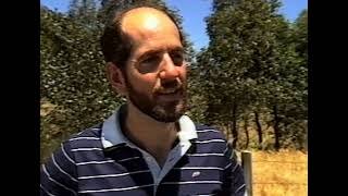 Rob Gell's environment series | 1989 | ACMI collection | ACMI: Your ...