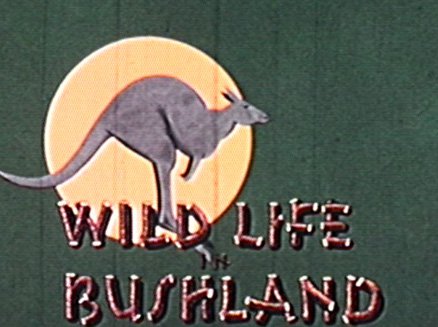 Wild life in bushland | Victorian Government Tourist Bureau | 1940 ...