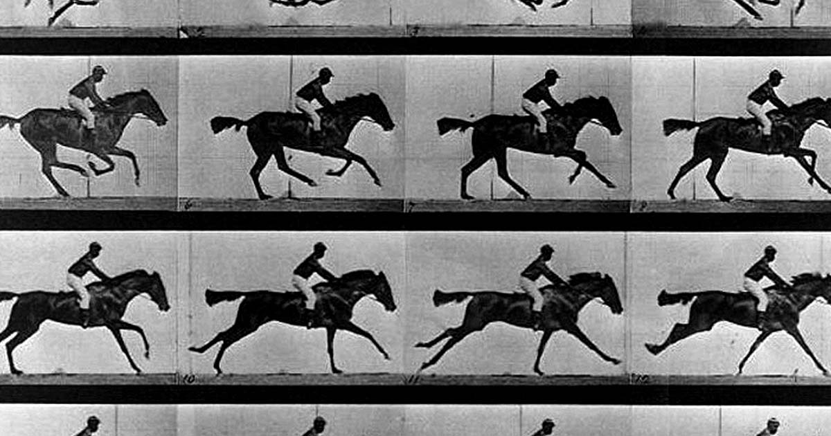 Analogue Animation: Flipbooks and Thaumatropes | 8–25 Jan 2024 | ACMI ...