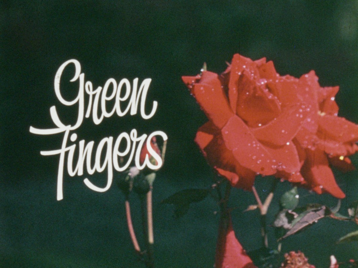 Greenfingers - episode 2 'Planting evergreens' | Victoria. Dept. of ...