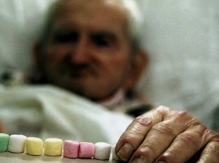 The Little Frenchman | David Tytherleigh | 2004 | ACMI collection ...