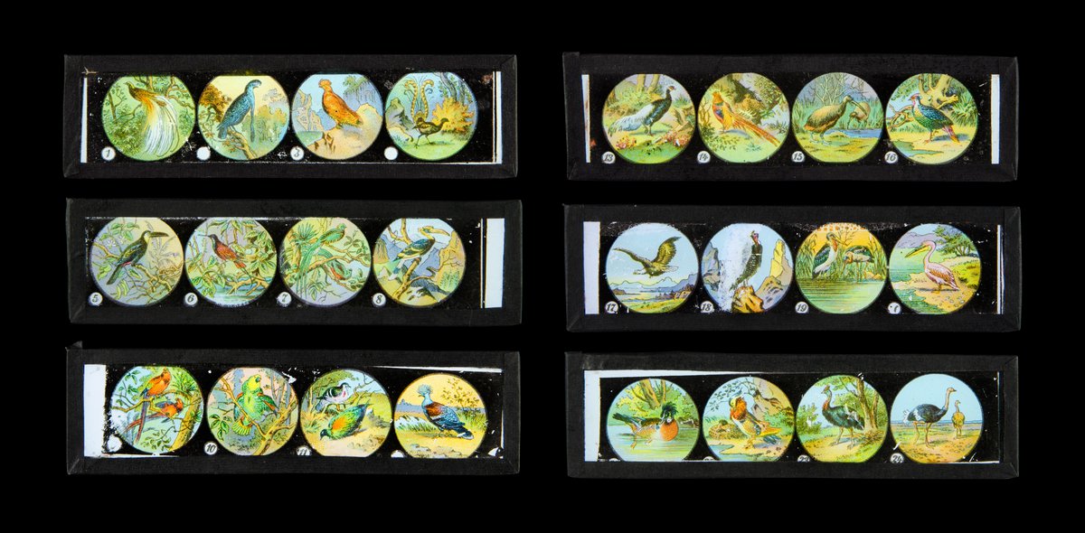 Toy lantern slides | The Empire Magic Lantern Outfit | ACMI collection ...