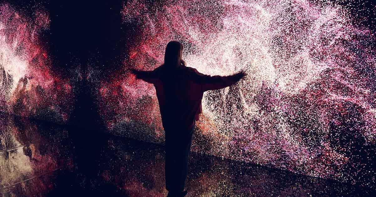 Works of Nature Soundscape: Death | ACMI: Your museum of screen culture