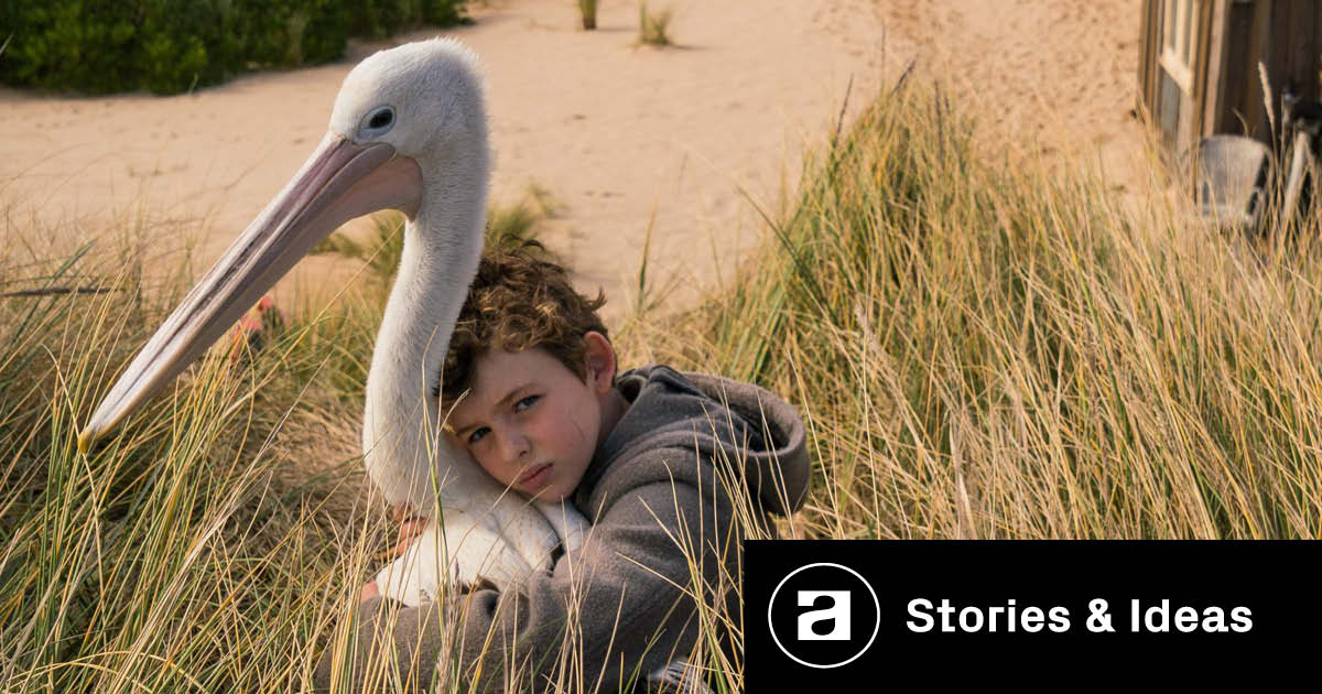 Capturing magical moments: Matt Nettheim's 'Portraits' | ACMI: Your ...