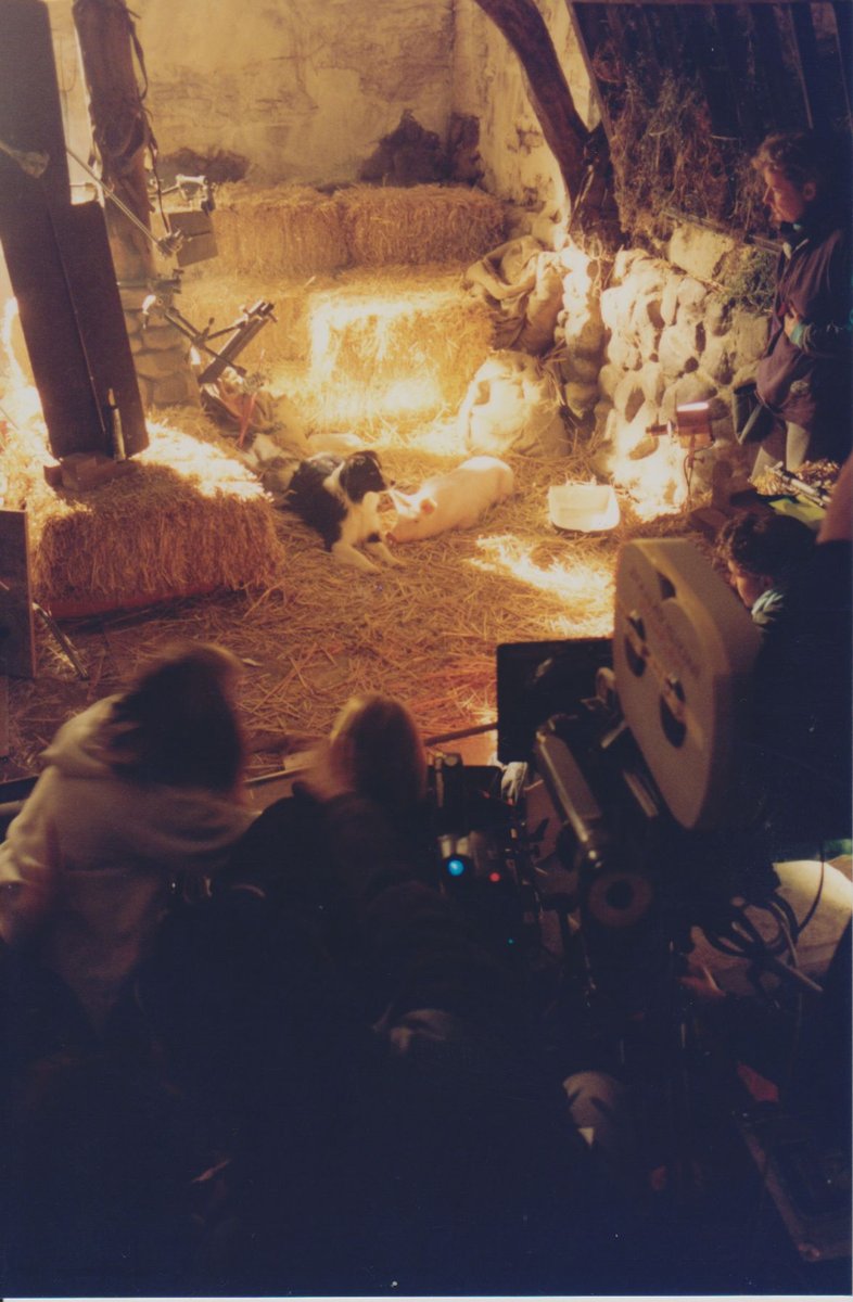 Behind the scenes photo filming Fly and Babe | 1995 | ACMI collection ...
