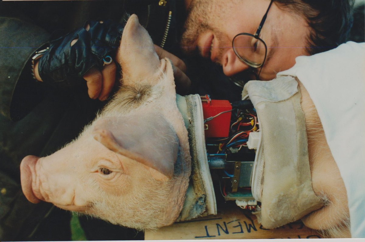 Behind the scenes photo of animatronic Babe | 1995 | ACMI collection ...