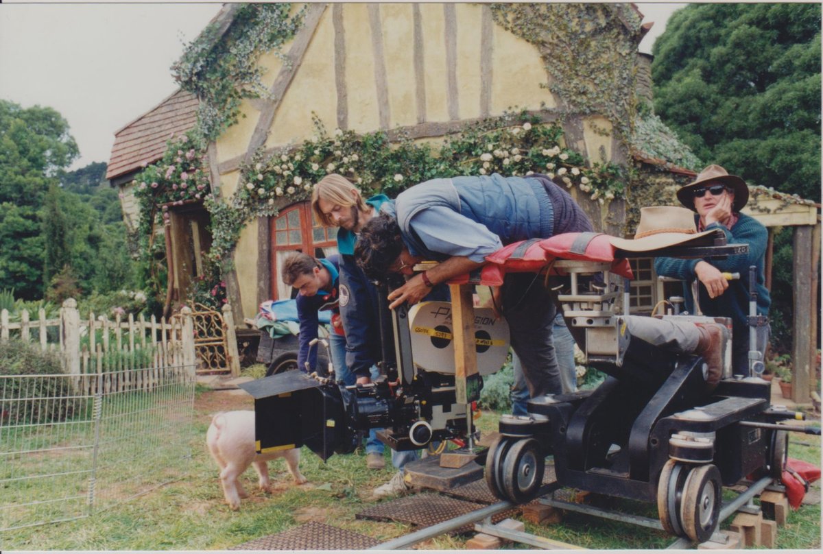 Behind the scene photo filming Babe | 1995 | ACMI collection | ACMI ...