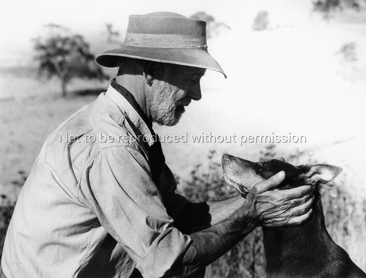 [Dusty : publicity kit] | ACMI collection | ACMI: Your museum of screen ...