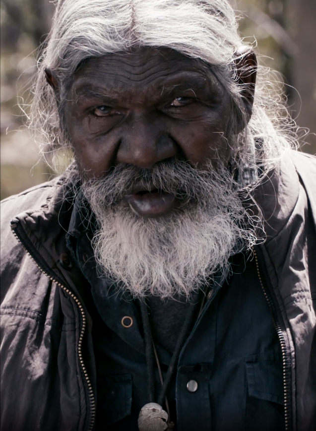 Spotlights: David Gulpilil | ACMI collection | ACMI: Your museum of ...