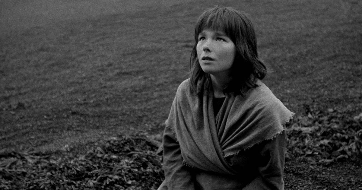 The Juniper Tree (1991) | Sat 30 Nov – Mon 16 Dec 2024 | ACMI: Your ...