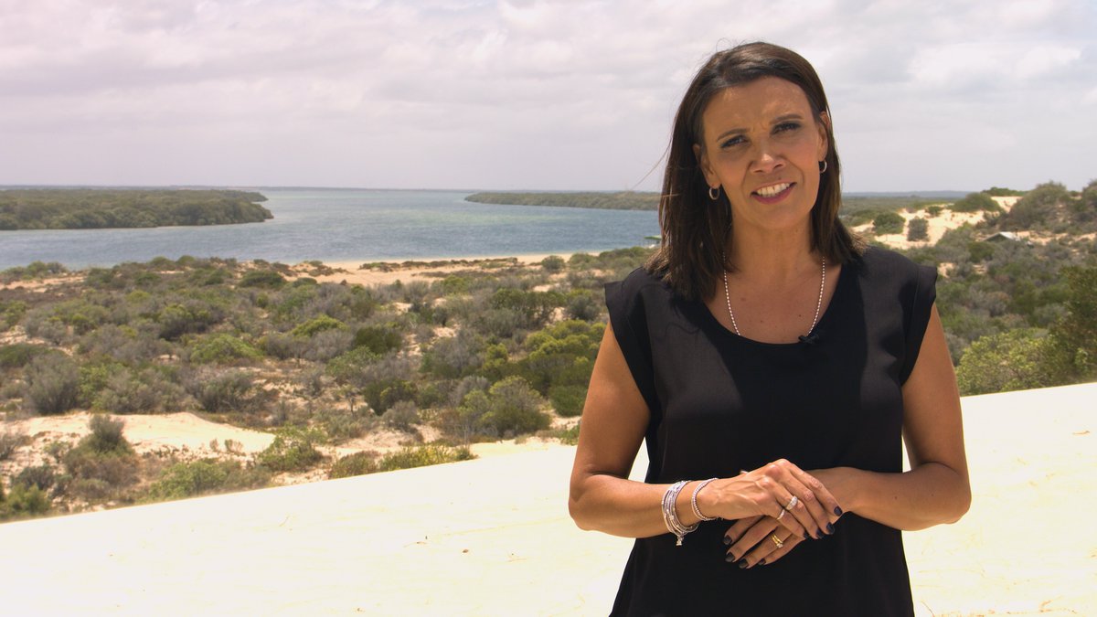 Where The Desert Meets The Sea | Shelley Ware | 2020 | ACMI collection ...