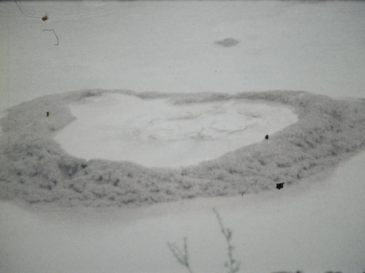 [John Anderson Home Movies: Reel 21] | Jack Anderson | ACMI collection ...