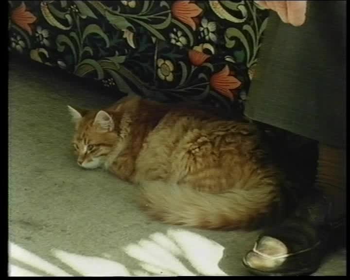 A.D. Hope | Keith Salvat | 1975 | ACMI collection | ACMI: Your museum ...