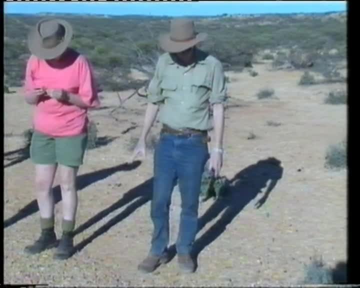 The great dinosaur hunt | Brian Beaton | 1992 | ACMI collection | ACMI ...