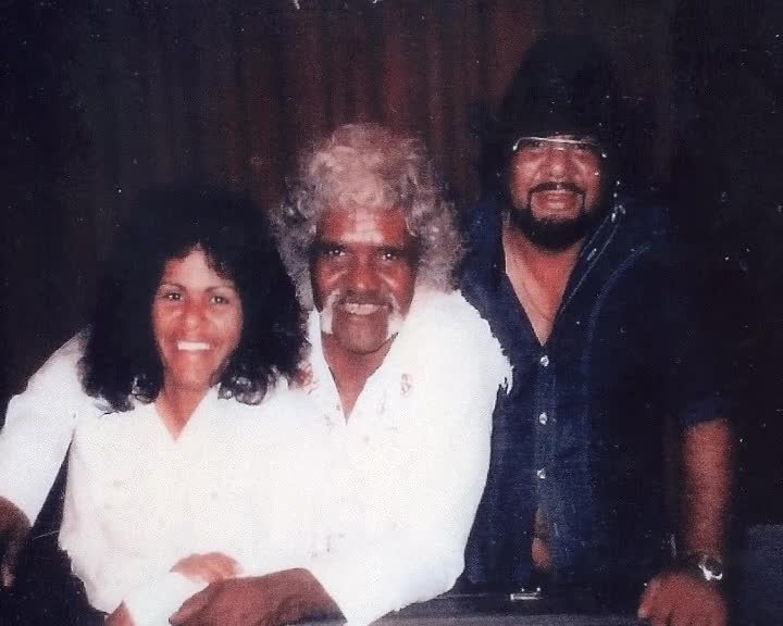 Goanna | Anna Williams | ACMI collection | ACMI: Your museum of screen ...