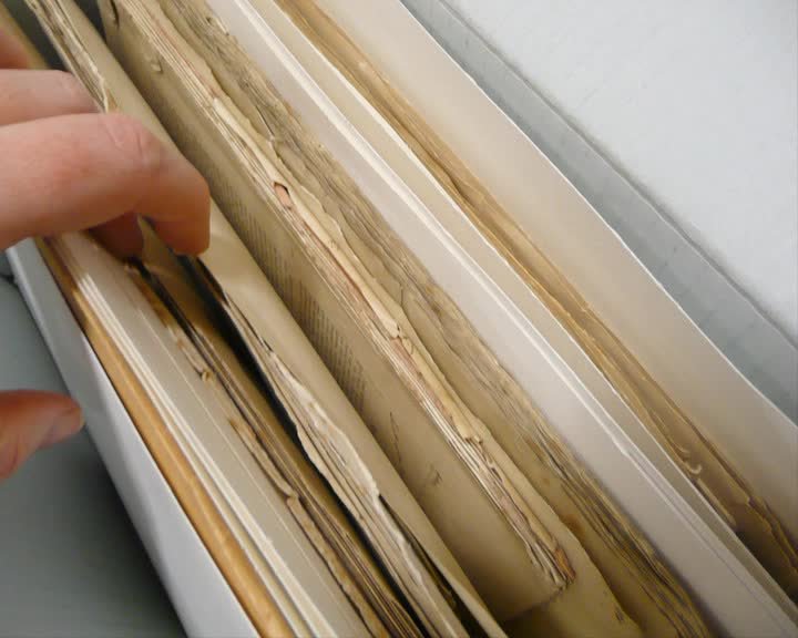 Illustrating absence | Rebecca Carland | ACMI collection | ACMI: Your ...