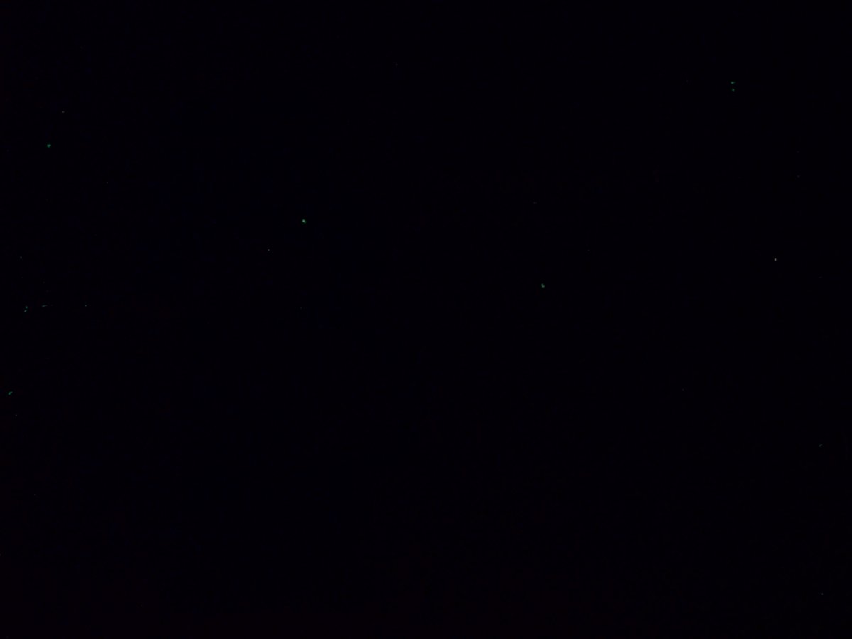 The wonderful world of Paddington Bear | Ivor Wood | 1975 | ACMI ...