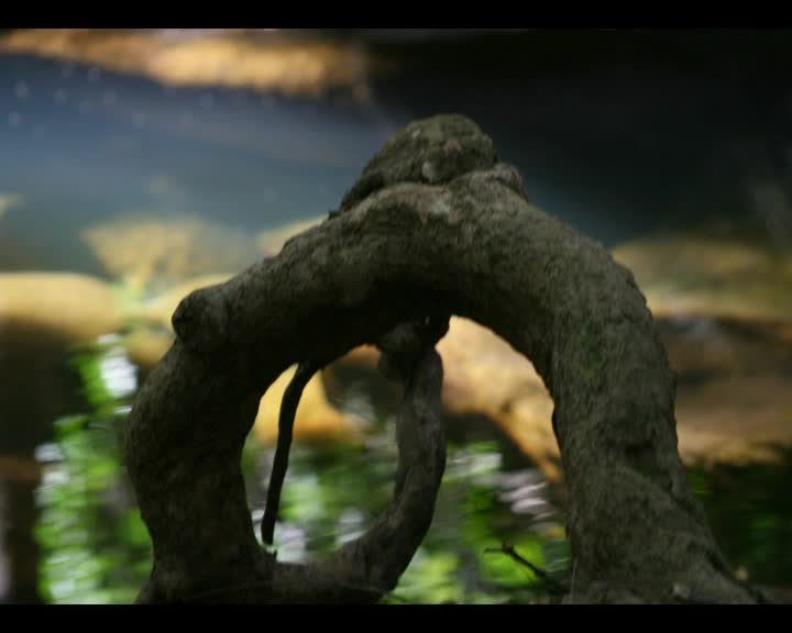 Together | Laura Brearley | ACMI collection | ACMI: Your museum of ...