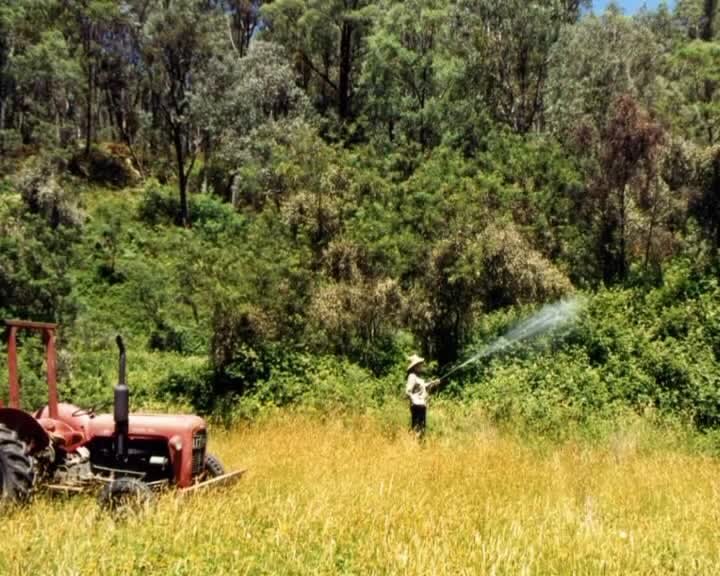 That's farming | Michael Burston | ACMI collection | ACMI: Your museum ...