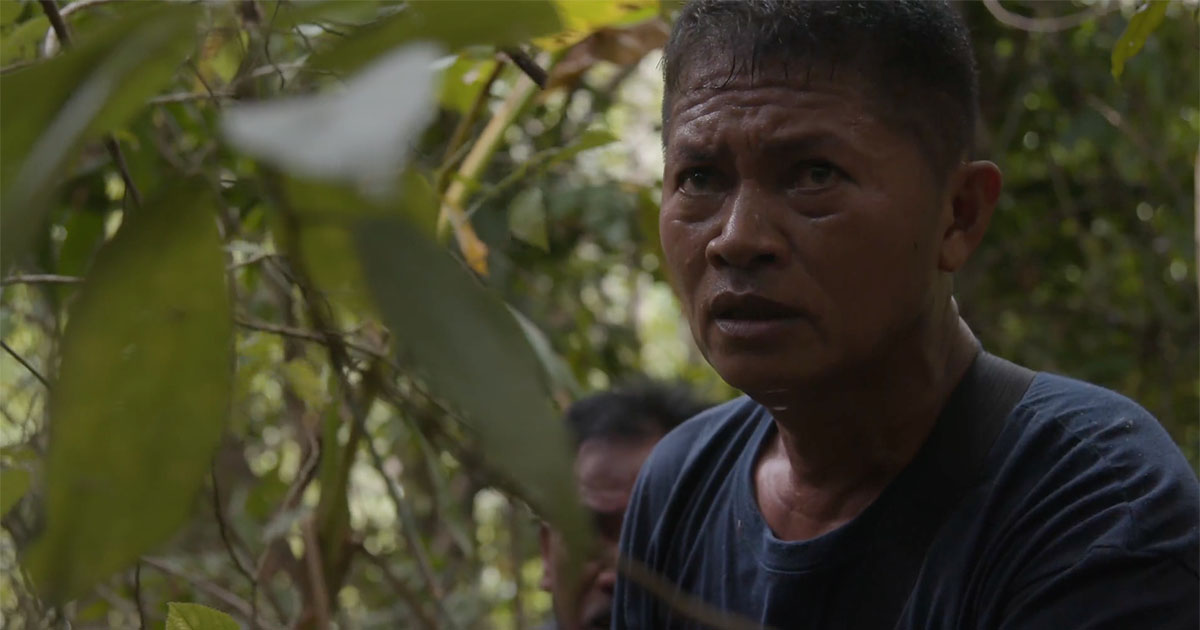 Delikado (2022) Karl Malakunas | Thu 11 Aug MIFF 70 | ACMI: Your museum ...