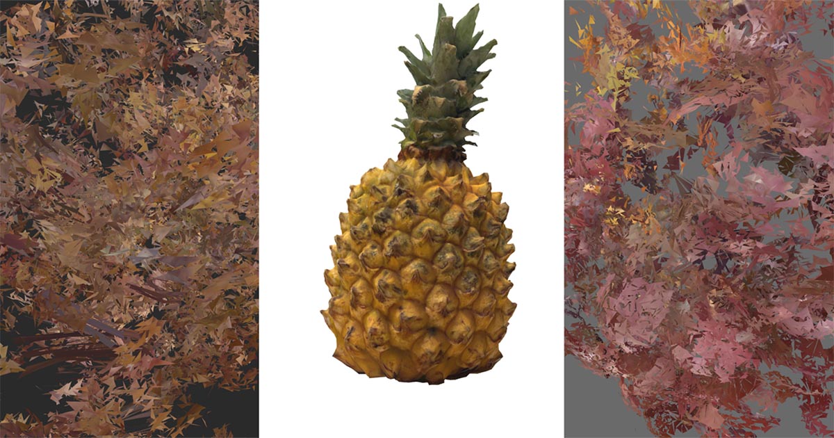 Rotted Luck by Vidya Rajan and Ian MacLarty – Sat 5 Oct - Sun 13 Oct ...