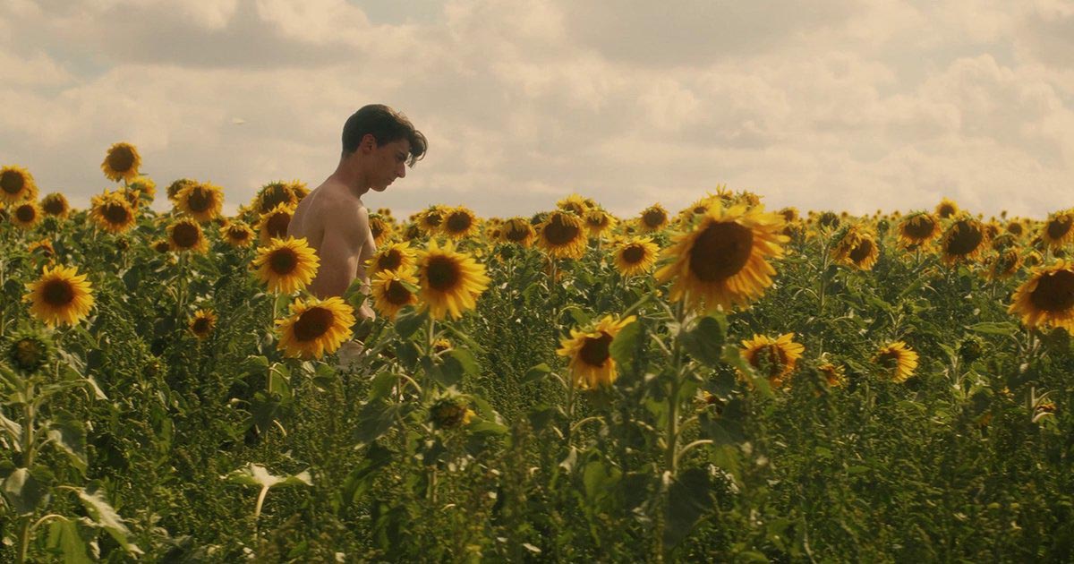 Sunflower (2023) | Tue 11 June 2024 New Voices in Australian Cinema ...