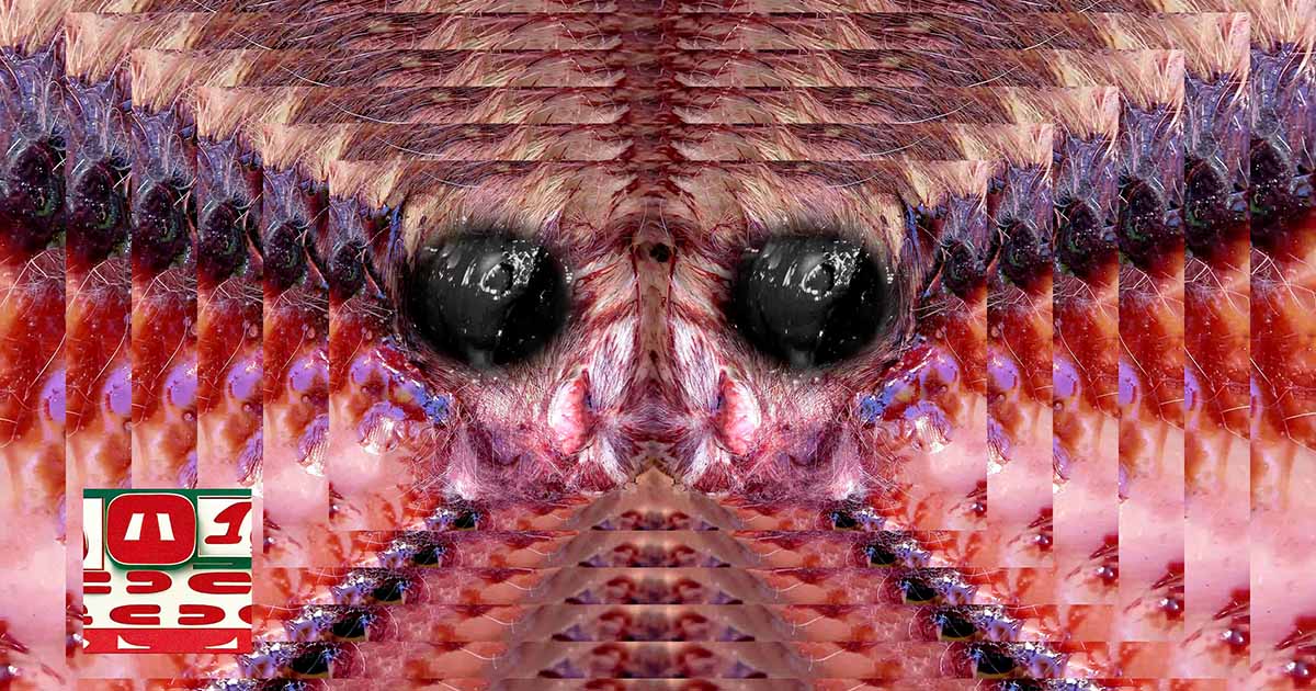 ART+FILM: Ian Haig | Thu 5 June 2025 | ACMI: Your museum of screen culture