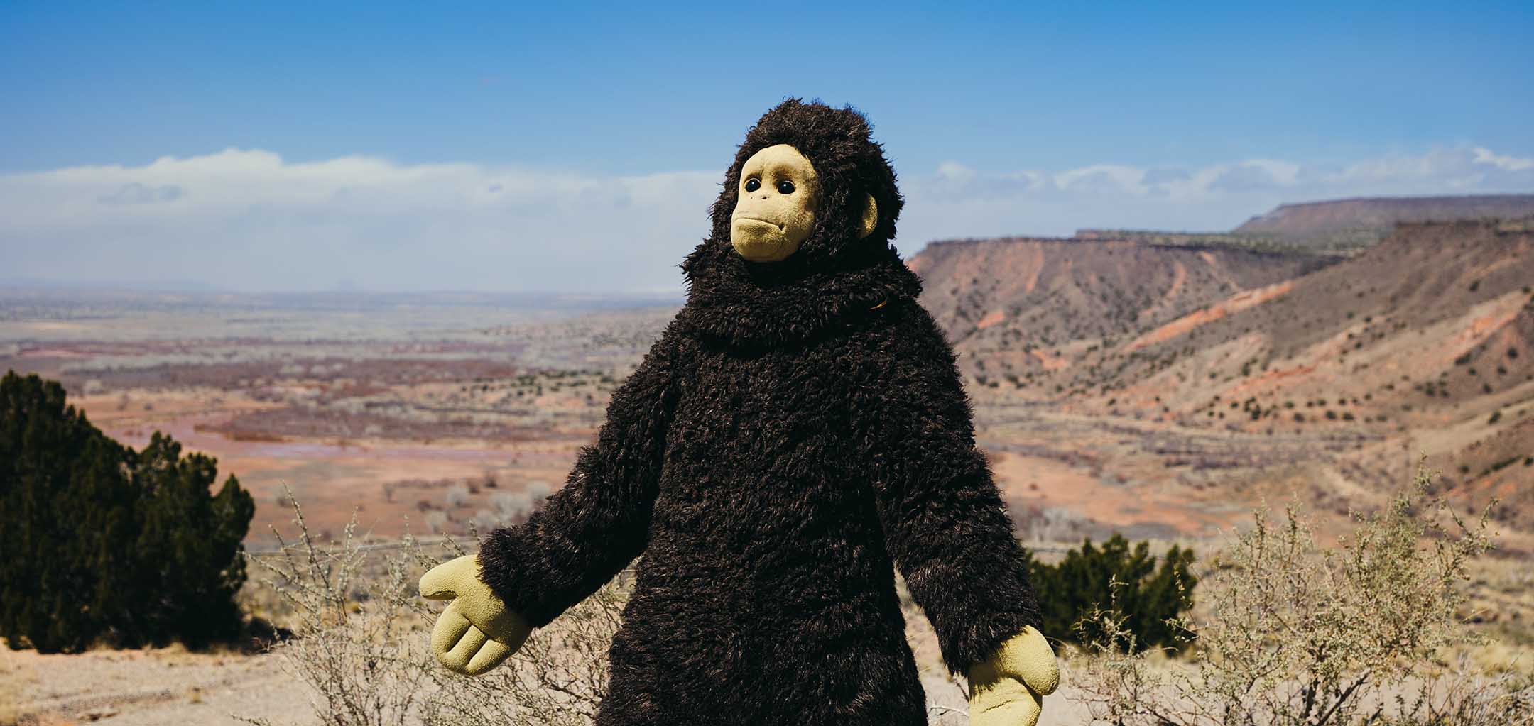 Sunlight | ACMI: Your museum of screen culture