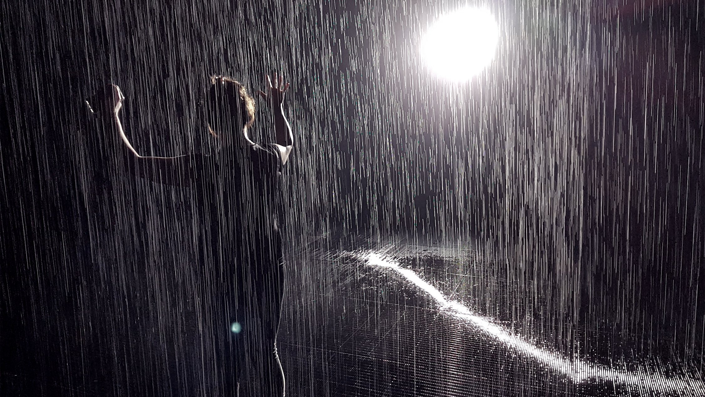 Hannes Koch on Rain Room | ACMI: Your museum of screen culture