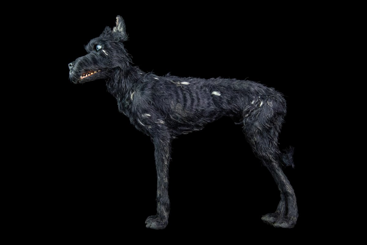 Isle of Dogs Chief (dirty) puppet model | ACMI collection | ACMI: Your ...