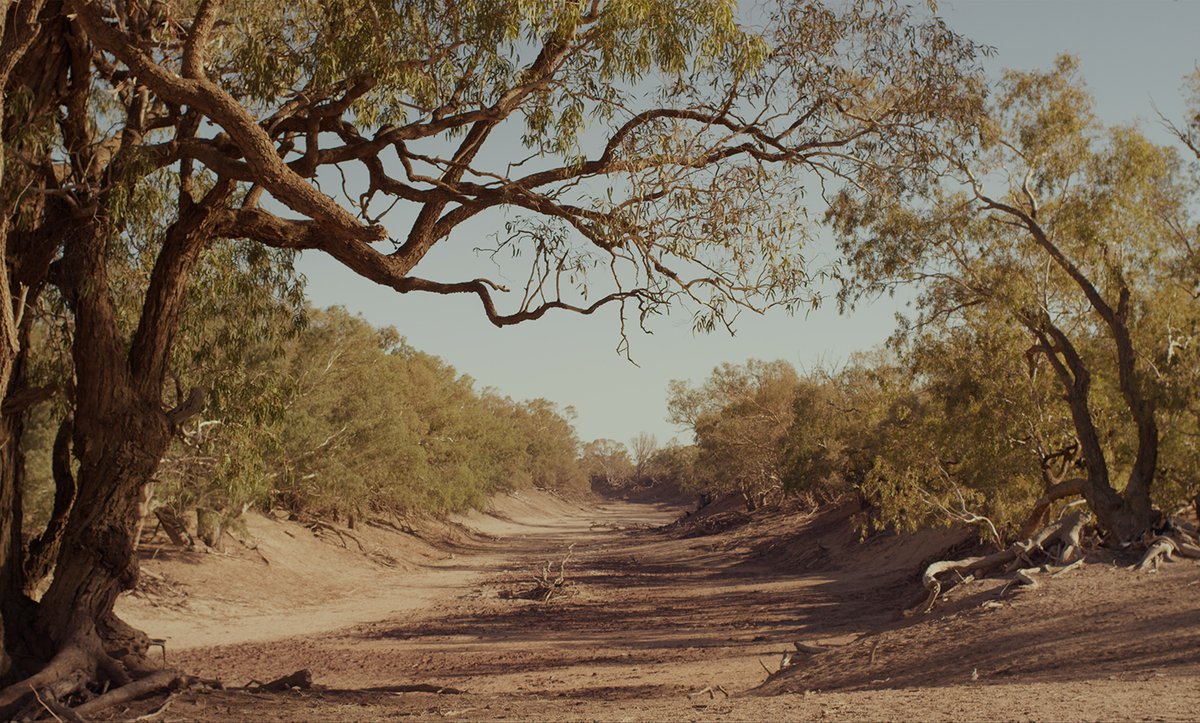 Darling Darling | Bridget Ikin | 2020 | ACMI collection | ACMI: Your ...