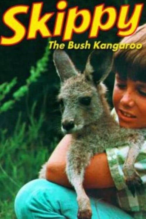 Skippy the Bush Kangaroo | 1968 | ACMI collection | ACMI: Your museum ...
